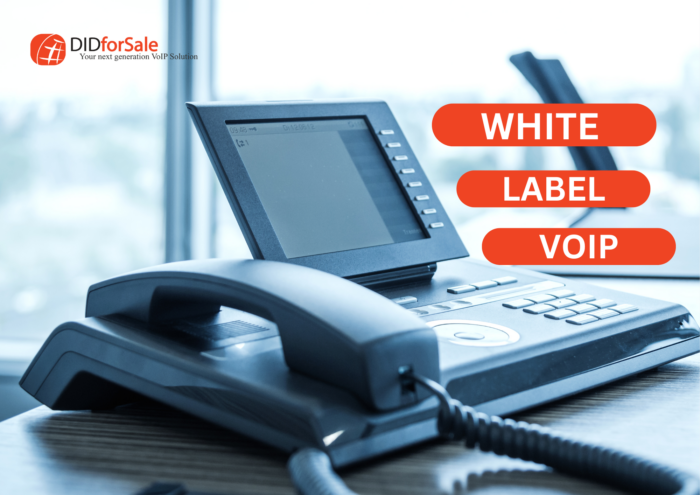 White Label VoIP App vs. Custom: Which Is Best for You? | DIDforSale ...